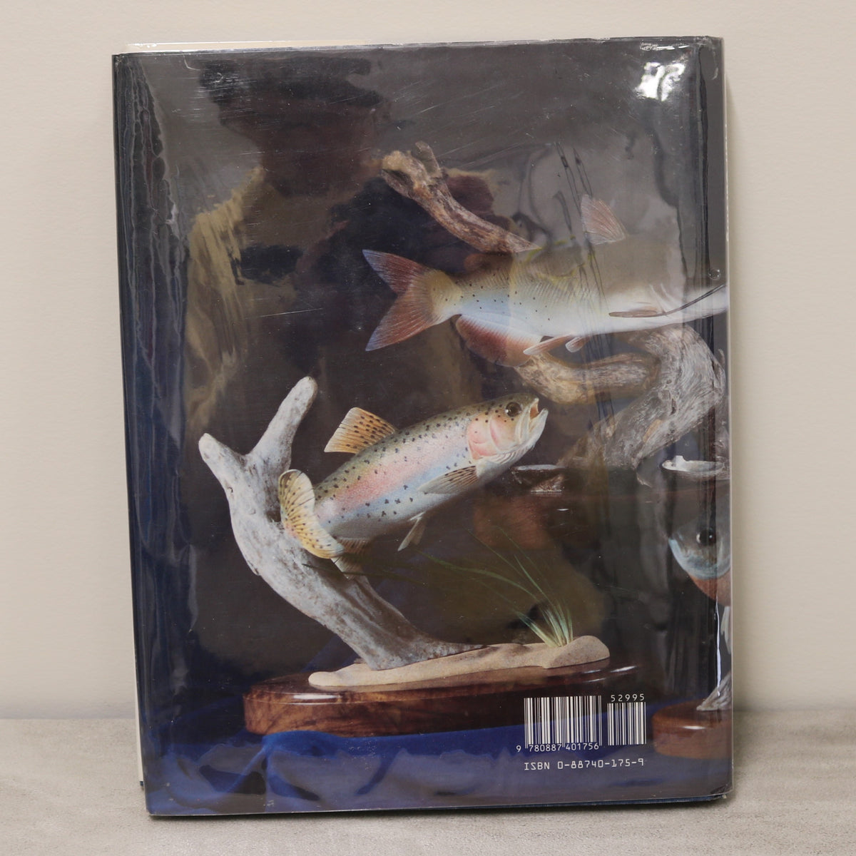 Freshwater Fish Carving Projects Woodcarving Wood Carver Used Book ...